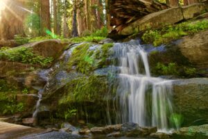 2 Days in SEKI: A Trip to Sequoia and Kings Canyon National Parks