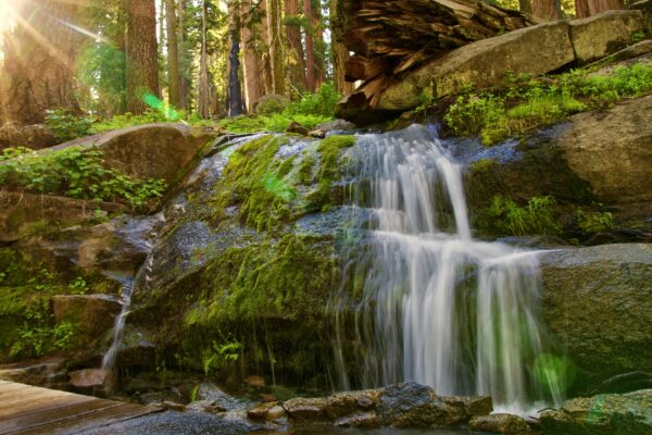 2 Days in SEKI: A Trip to Sequoia and Kings Canyon National Parks