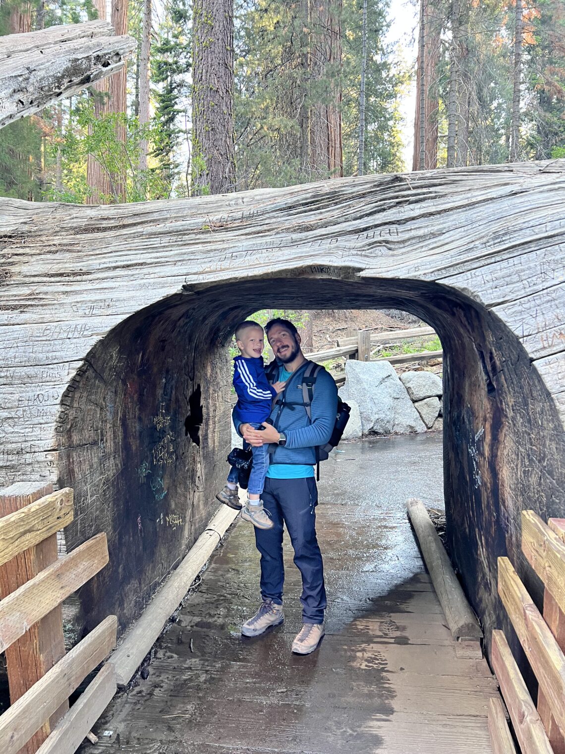 2 Days in SEKI: A Trip to Sequoia and Kings Canyon National Parks