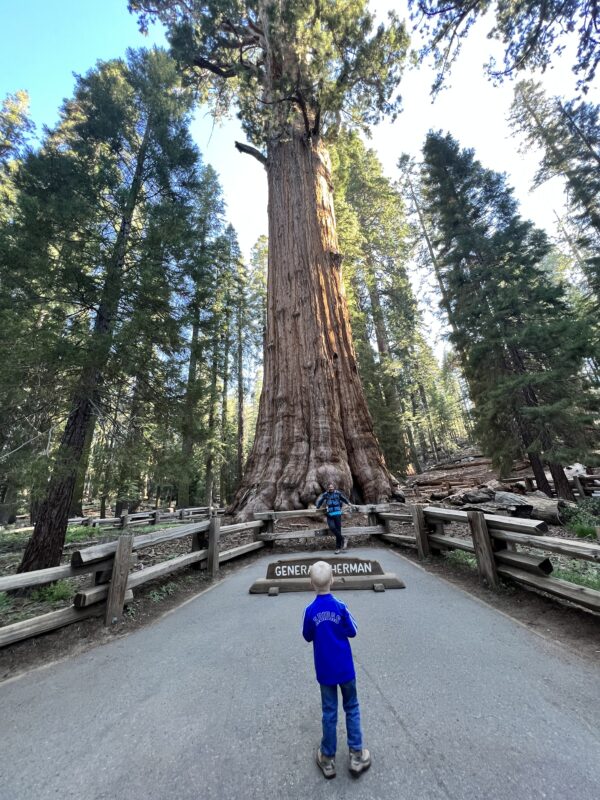 2 Days in SEKI: A Trip to Sequoia and Kings Canyon National Parks