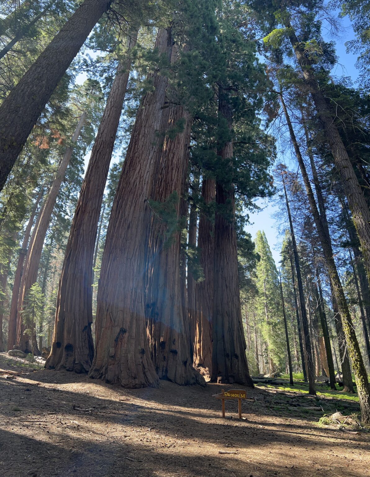 2 Days in SEKI: A Trip to Sequoia and Kings Canyon National Parks