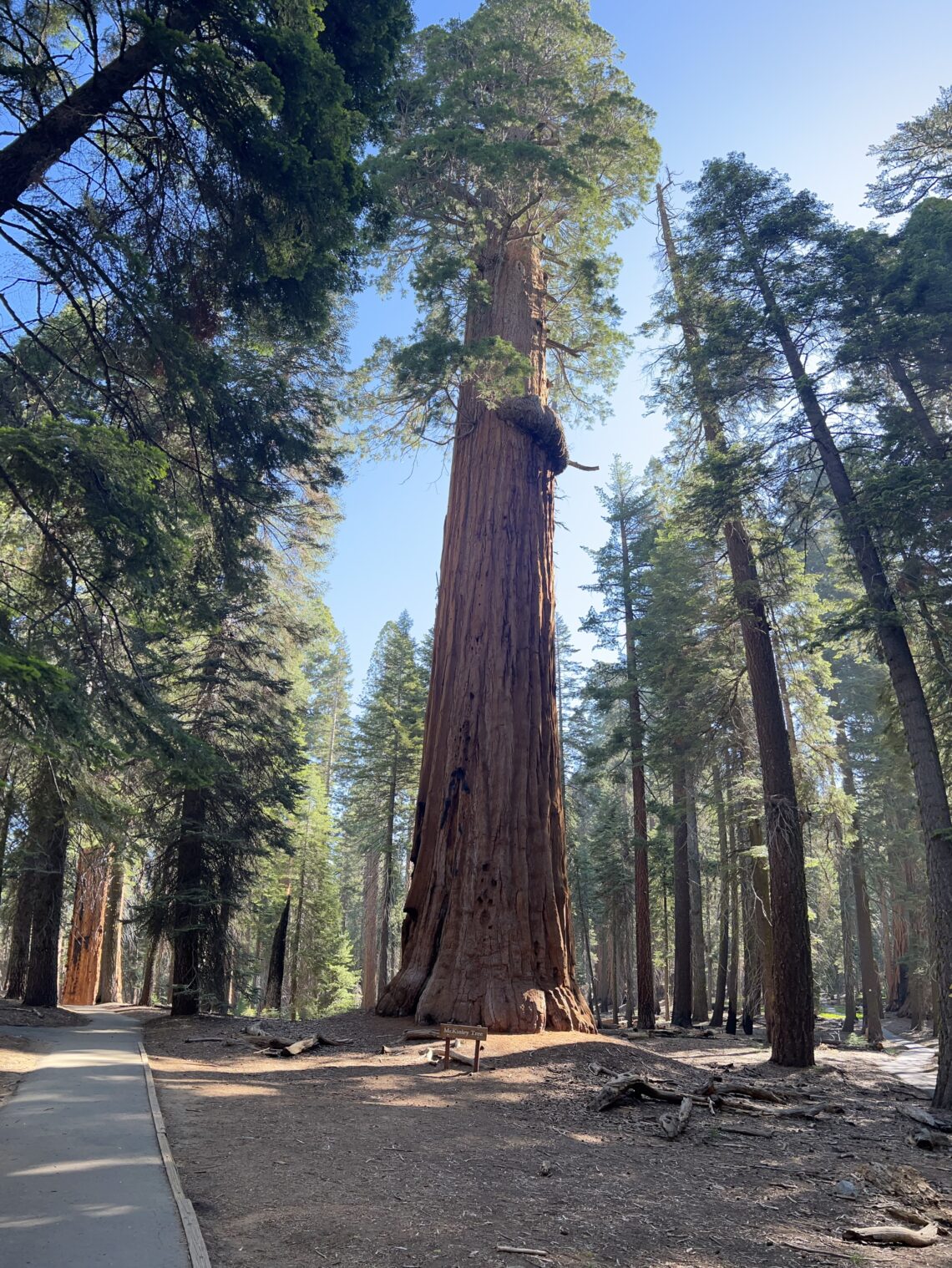 2 Days in SEKI: A Trip to Sequoia and Kings Canyon National Parks